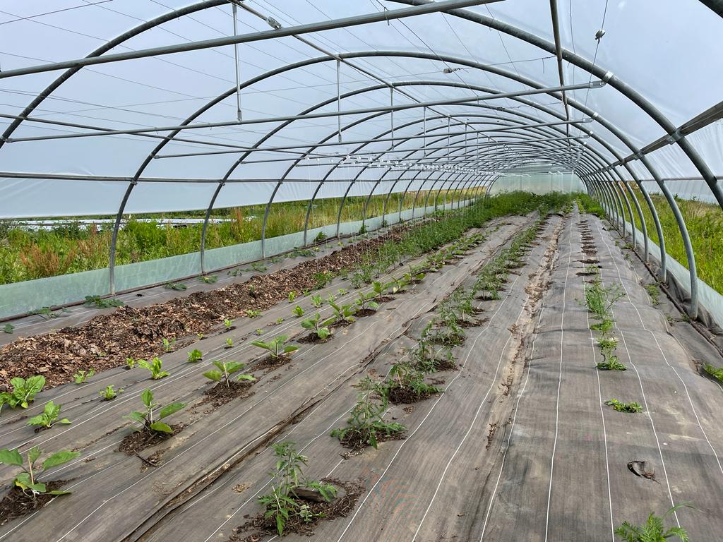 Ça cultive à Grand Paris Sud ! - Grand Paris Sud