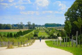 Lieusaint | Grand Paris Sud