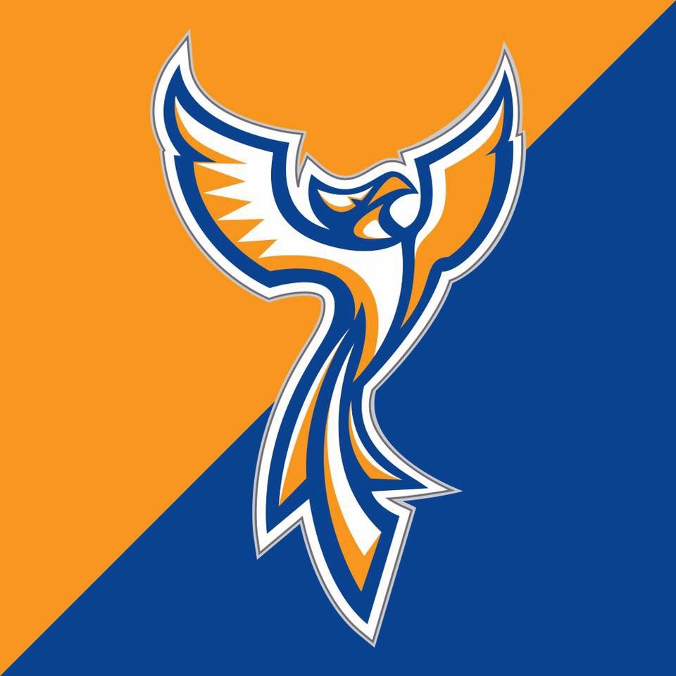 Calendrier Roller Hockey ligue élite Ris-Orangis | Grand Paris Sud